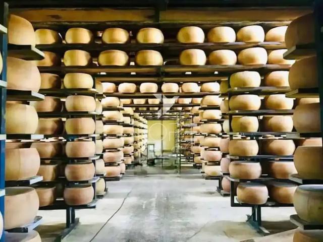 Sítio / Chácara para Venda em Pouso Alegre/MG Área Rural de Pouso Alegre