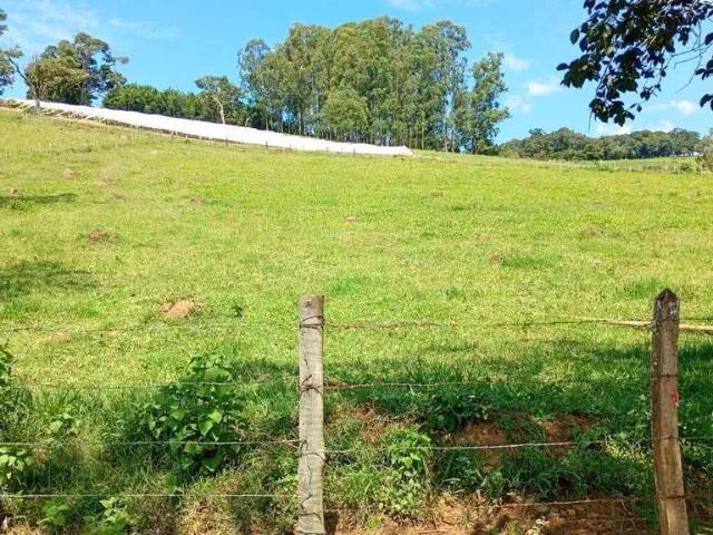 Sítio / Chácara para Venda em Pouso Alegre/MG São José do Pântano