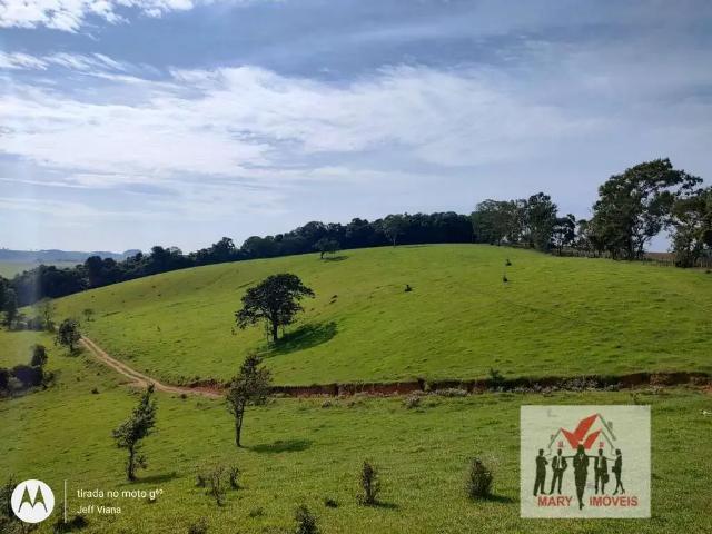 Sítio / Chácara para Venda em Poços de Caldas/MG Centro 3 Quartos