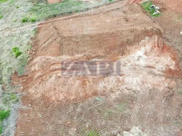 Sítio / Chácara para Venda em Poços de Caldas/MG Centro