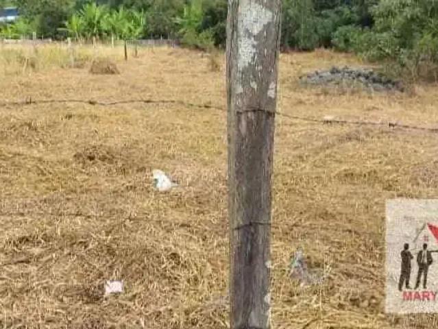 Sítio / Chácara para Venda em Poços de Caldas/MG Centro
