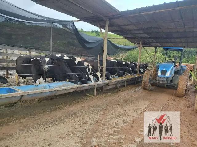 Sítio / Chácara para Venda em Poços de Caldas/MG Centro
