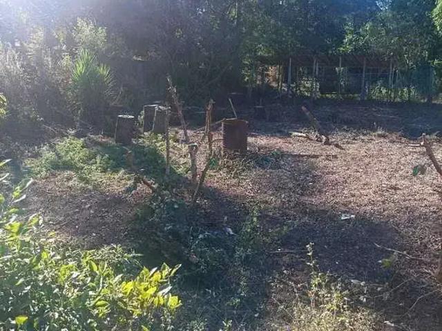 Sítio / Chácara para Venda em Poços de Caldas/MG Chácaras Poços de Caldas