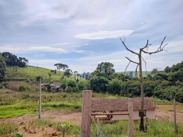 Sítio / Chácara para Venda em Poços de Caldas/MG Área Rural de Poços de Caldas 3 Quartos
