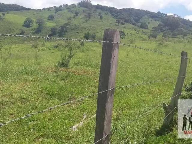 Sítio / Chácara para Venda em Poços de Caldas/MG Área Rural de Poços de Caldas