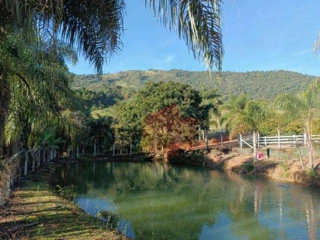 Sítio / Chácara para Venda em Poços de Caldas/MG Zona Rural