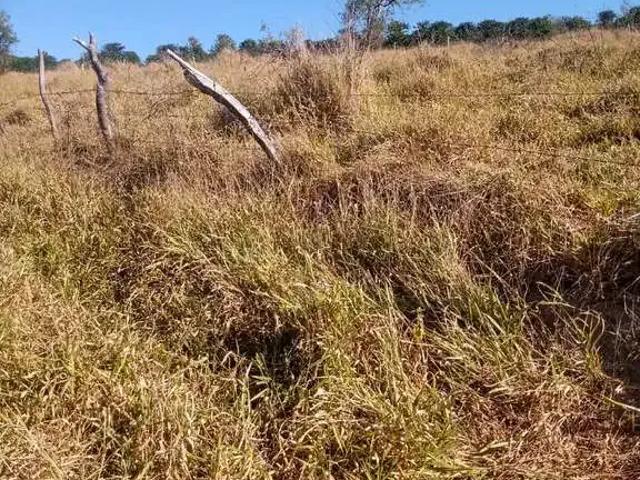 Sítio / Chácara para Venda em Poços de Caldas/MG Área Rural de Poços de Caldas