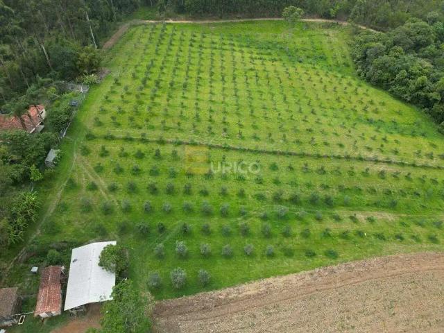Sítio / Chácara para Venda em Poços de Caldas/MG Área Rural de Poços de Caldas