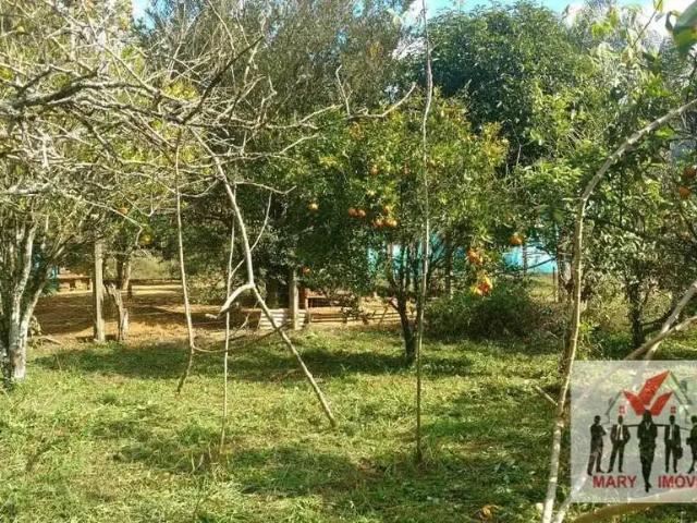Sítio / Chácara para Venda em Poços de Caldas/MG Vila Cascata das Antas 3 Quartos