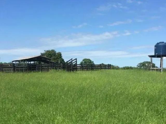 Sítio / Chácara para Venda em Poconé/MT Centro