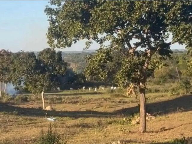 Sítio / Chácara para Venda em Poconé/MT Zona Rural 2 Quartos