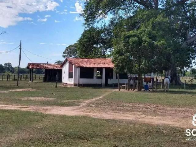 Sítio / Chácara para Venda em Poconé/MT Zona Rural 3 Quartos