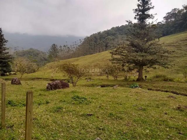 Sítio / Chácara para Venda em Pomerode/SC Testo Alto