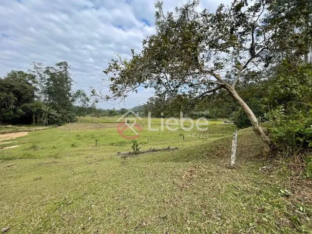 Sítio / Chácara para Venda em Pomerode/SC Vale do Selke Grande