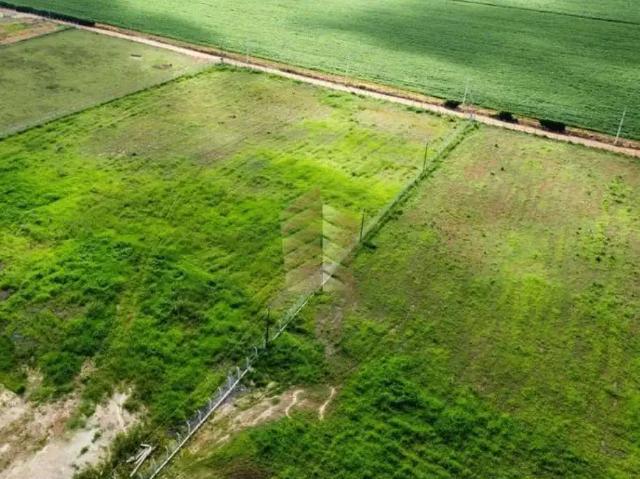 Sítio / Chácara para Venda em Ponta Grossa/PR Colônia Dona LuÍza 1 Quartos