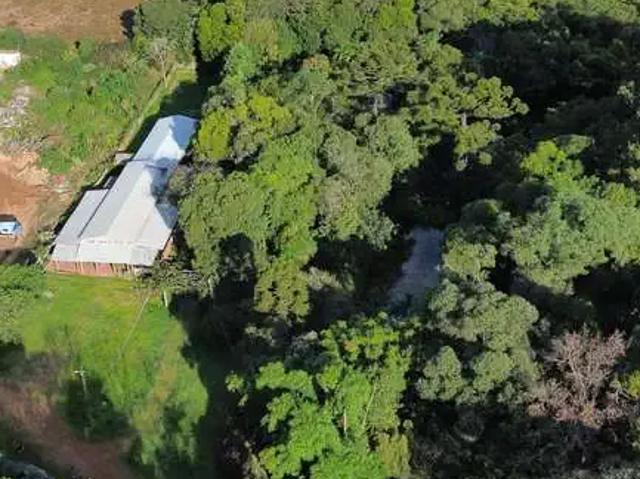 Sítio / Chácara para Venda em Ponta Grossa/PR Colônia Dona LuÍza 3 Quartos