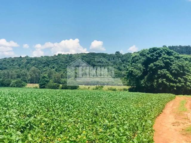 Sítio / Chácara para Venda em Ponta Grossa/PR Colônia Dona LuÍza