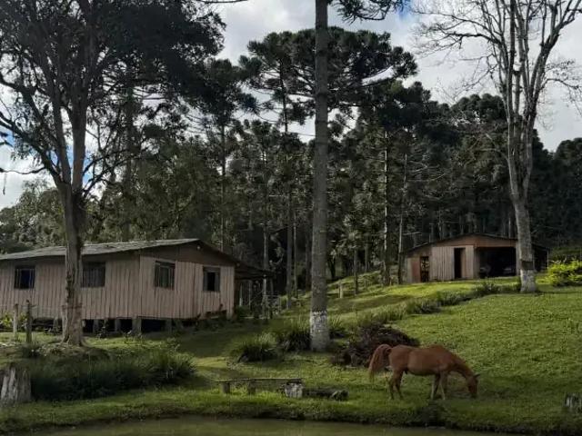 Sítio / Chácara para Venda em Ponta Grossa/PR Itaiacoca 2 Quartos