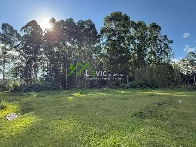 Sítio / Chácara para Venda em Ponta Grossa/PR Núcleo Santa Tereza
