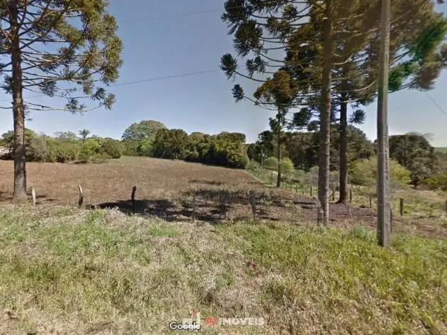 Sítio / Chácara para Venda em Ponta Grossa/PR Periquitos