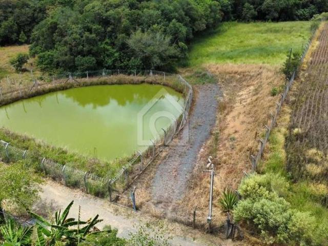Sítio / Chácara para Venda em Ponta Grossa/PR Periquitos