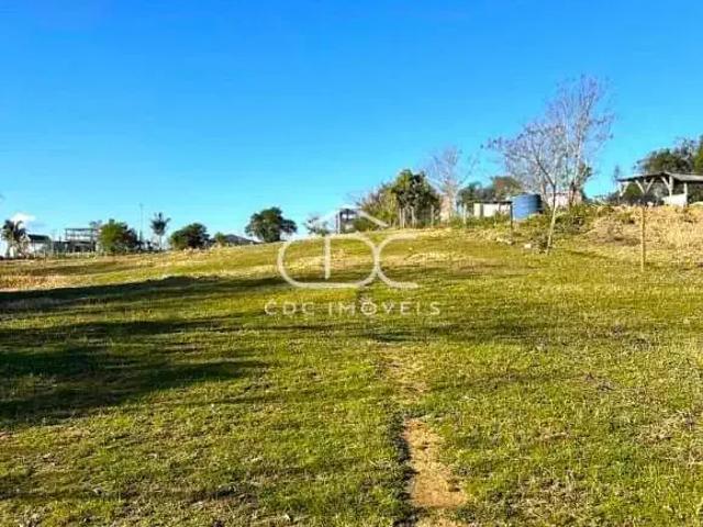 Sítio / Chácara para Venda em Ponta Grossa/PR Periquitos