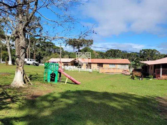 Sítio / Chácara para Venda em Ponta Grossa/PR Periquitos 3 Quartos
