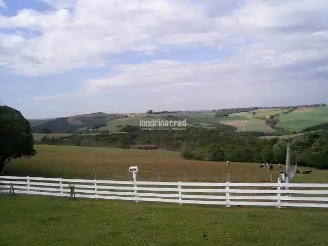 Sítio / Chácara para Venda em Ponta Grossa/PR Zona Rural