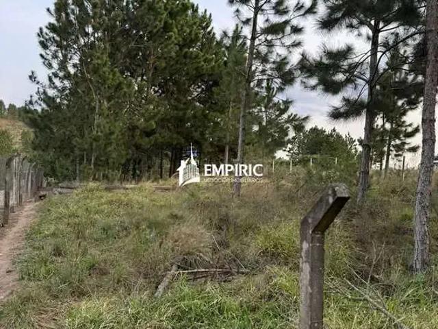 Sítio / Chácara para Venda em Ponta Grossa/PR Zona Rural