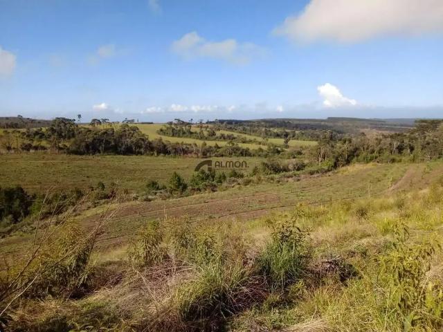 Sítio / Chácara para Venda em Ponte Alta/SC Zona Rural