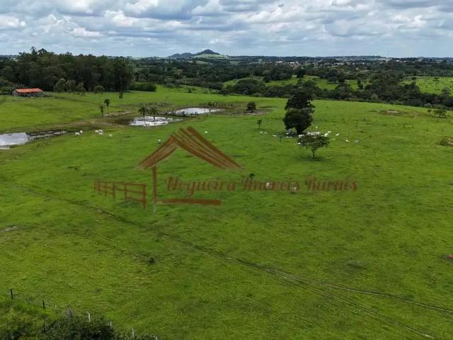 Sítio / Chácara para Venda em Porangaba/SP Zona Rural