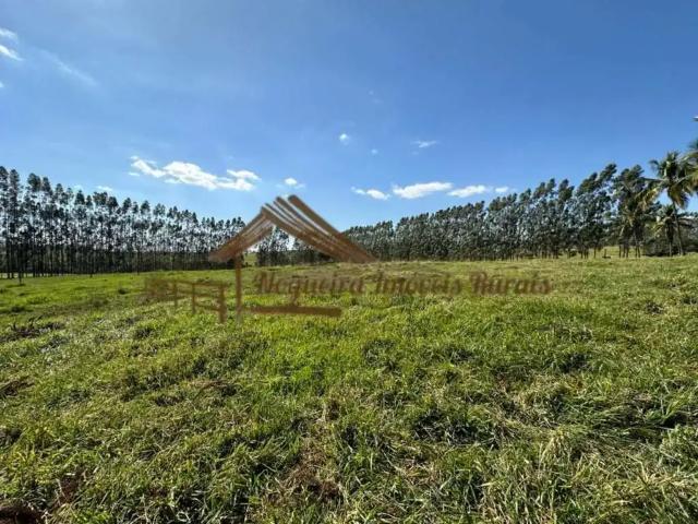 Sítio / Chácara para Venda em Porangaba/SP Zona Rural
