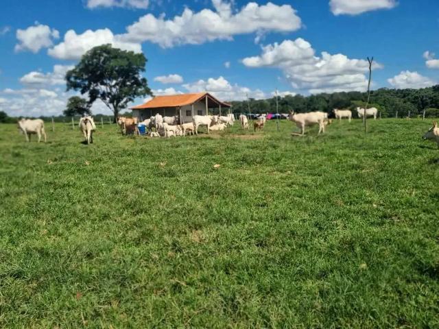 Sítio / Chácara para Venda em Porangaba/SP Zona Rural 2 Quartos