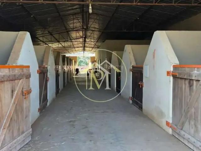 Sítio / Chácara para Venda em Porangaba/SP Zona Rural 2 Quartos