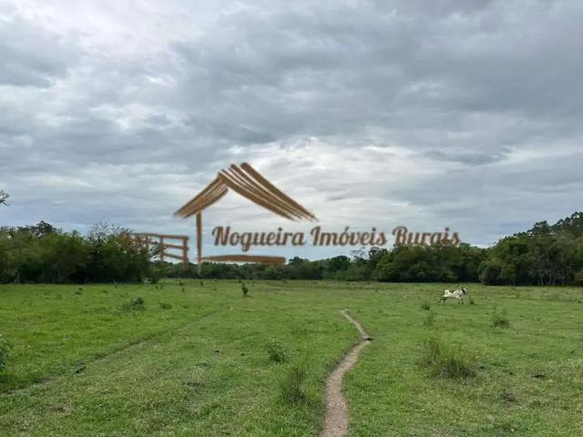 Sítio / Chácara para Venda em Porangaba/SP Zona Rural