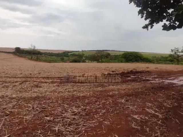 Sítio / Chácara para Venda em Porecatu/PR Centro 4 Quartos