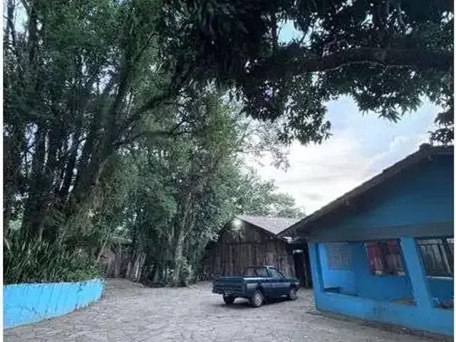 Sítio / Chácara para Venda em Portão/RS Macaco Branco