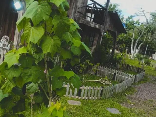 Sítio / Chácara para Venda em Portão/RS Zona Rural 4 Quartos