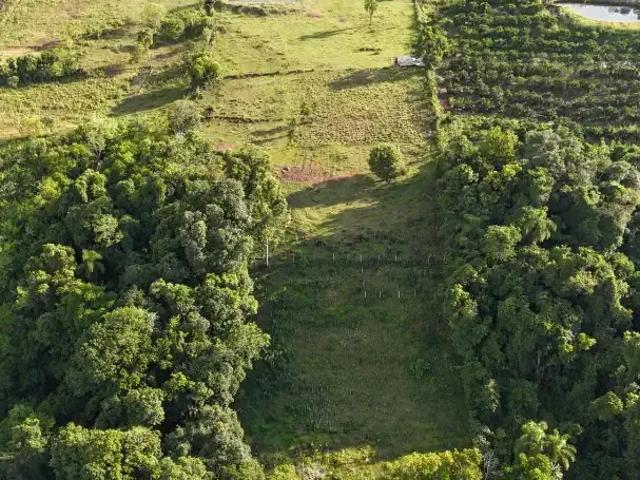 Sítio / Chácara para Venda em Portão/RS Zona Rural 5 Quartos