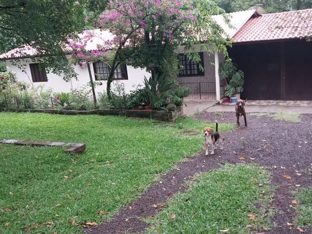Sítio / Chácara para Venda em Portão/RS Zona Rural 5 Quartos