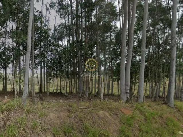 Sítio / Chácara para Venda em Portão/RS Zona Rural