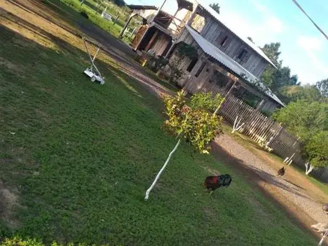 Sítio / Chácara para Venda em Portão/RS Zona Rural 2 Quartos