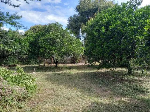 Sítio / Chácara para Venda em Portão/RS Zona Rural 2 Quartos