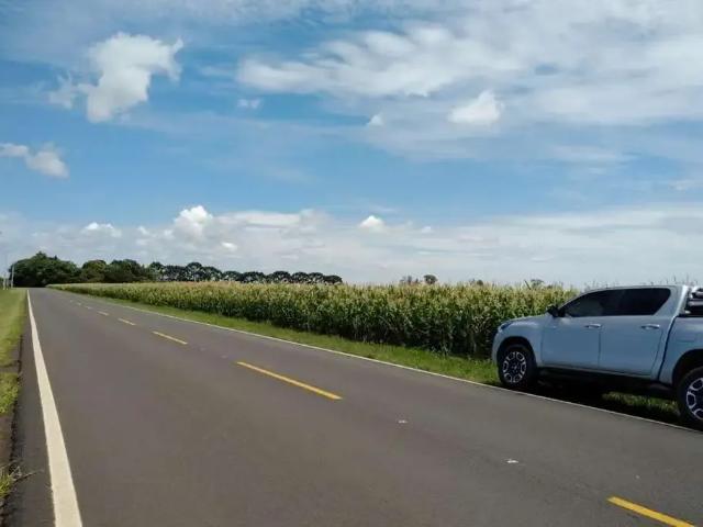 Sítio / Chácara para Venda em Porto Amazonas/PR Zona Rural 1 Quartos