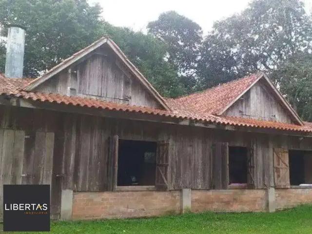 Sítio / Chácara para Venda em Porto Alegre/RS Boa Vista do Sul 3 Quartos