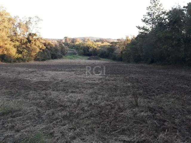 Sítio / Chácara para Venda em Porto Alegre/RS Lageado 1 Quartos