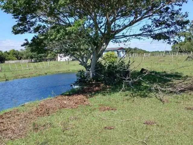 Sítio / Chácara para Venda em Porto Alegre/RS Lami 2 Quartos