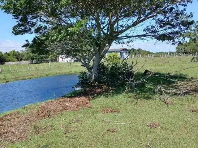 Sítio / Chácara para Venda em Porto Alegre/RS Lami 2 Quartos