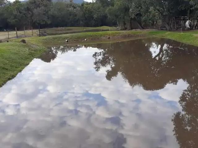Sítio / Chácara para Venda em Porto Alegre/RS Zona Rural 2 Quartos