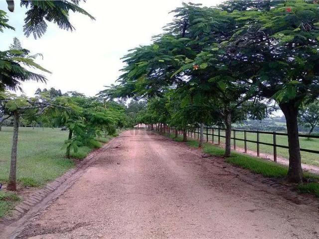 Sítio / Chácara para Venda em Porto Feliz/SP Zona Rural